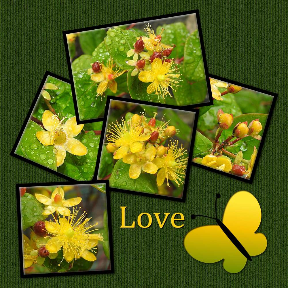 5-REALISATION - LOVE | Forum Le monde du Scrap