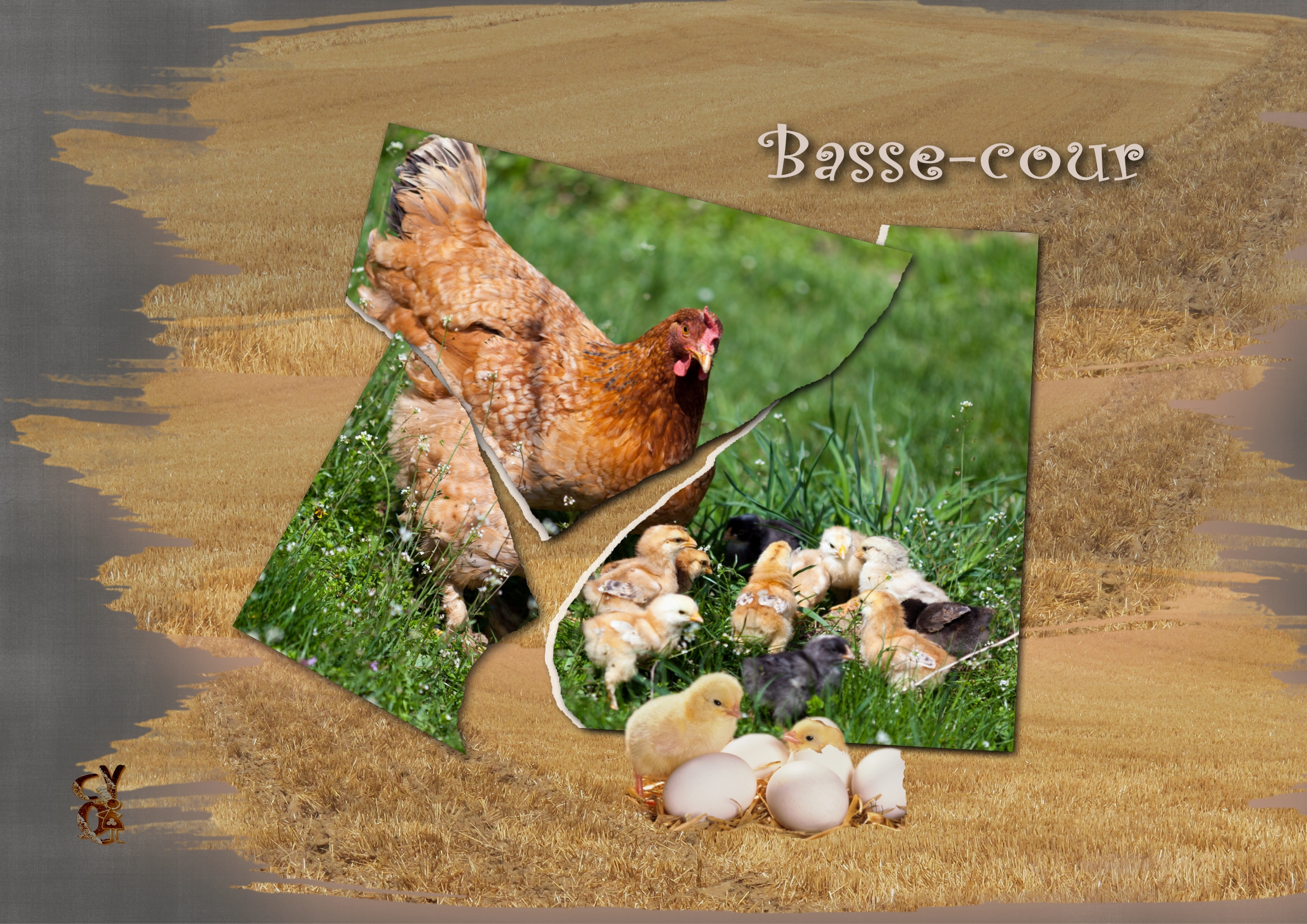 Basse-cour.jpg | Forum Le monde du Scrap