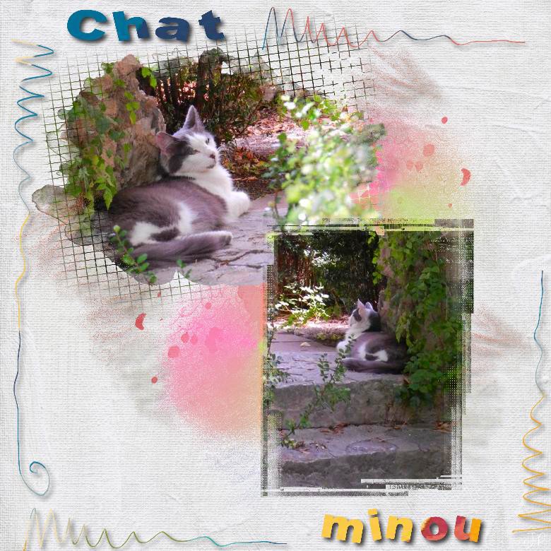 chat minou.jpg | Forum Le monde du Scrap