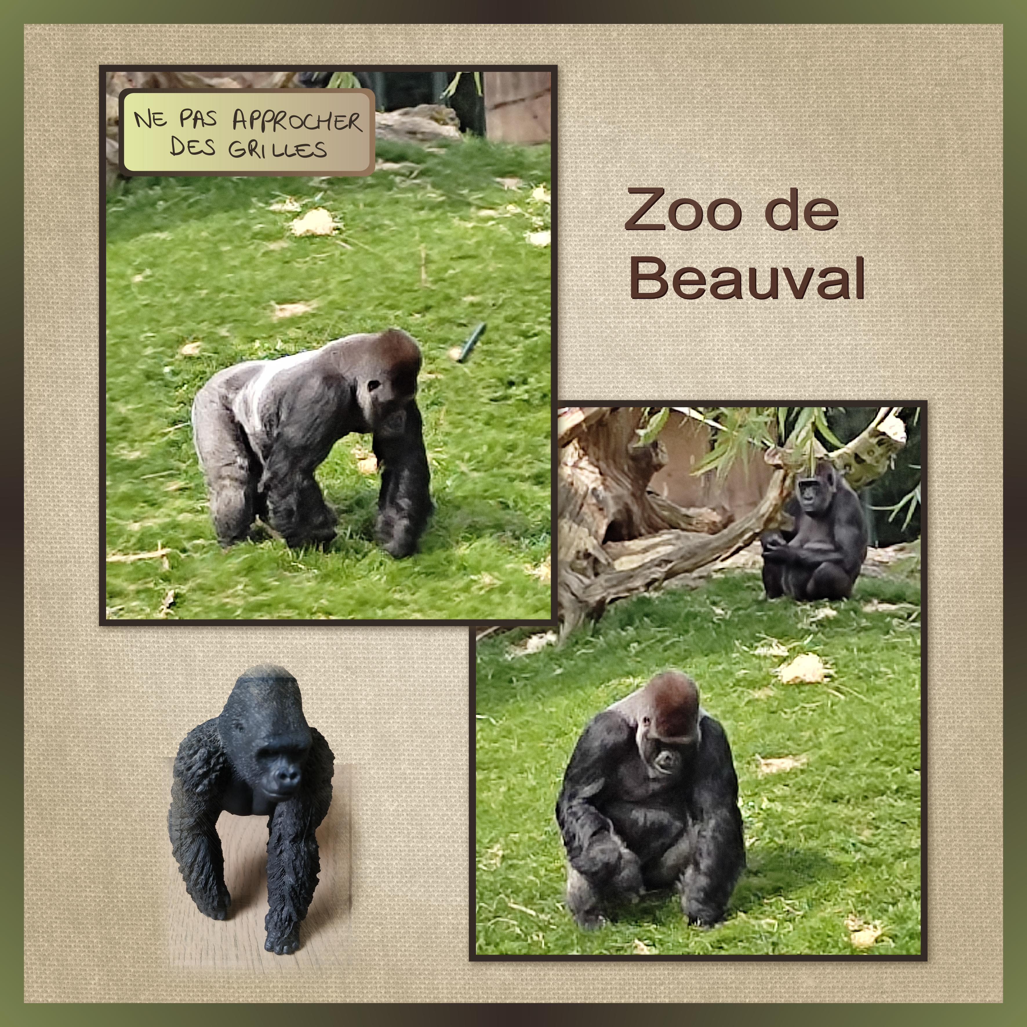 J-A188 - ZOO DE BEAUVAL.jpg | Forum Le monde du Scrap