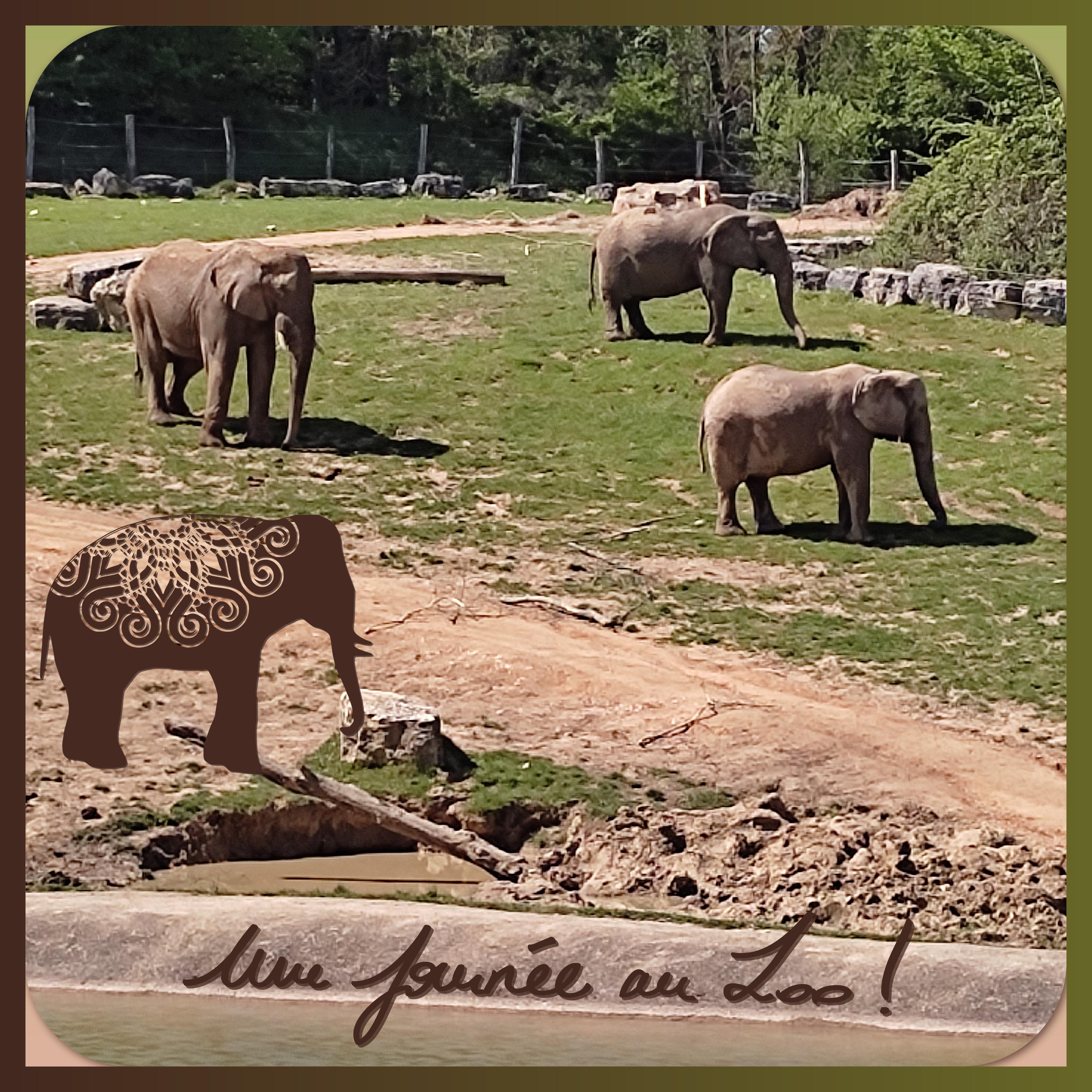 J-A203 - UNE JOURNEE AU ZOO.jpg | Forum Le monde du Scrap