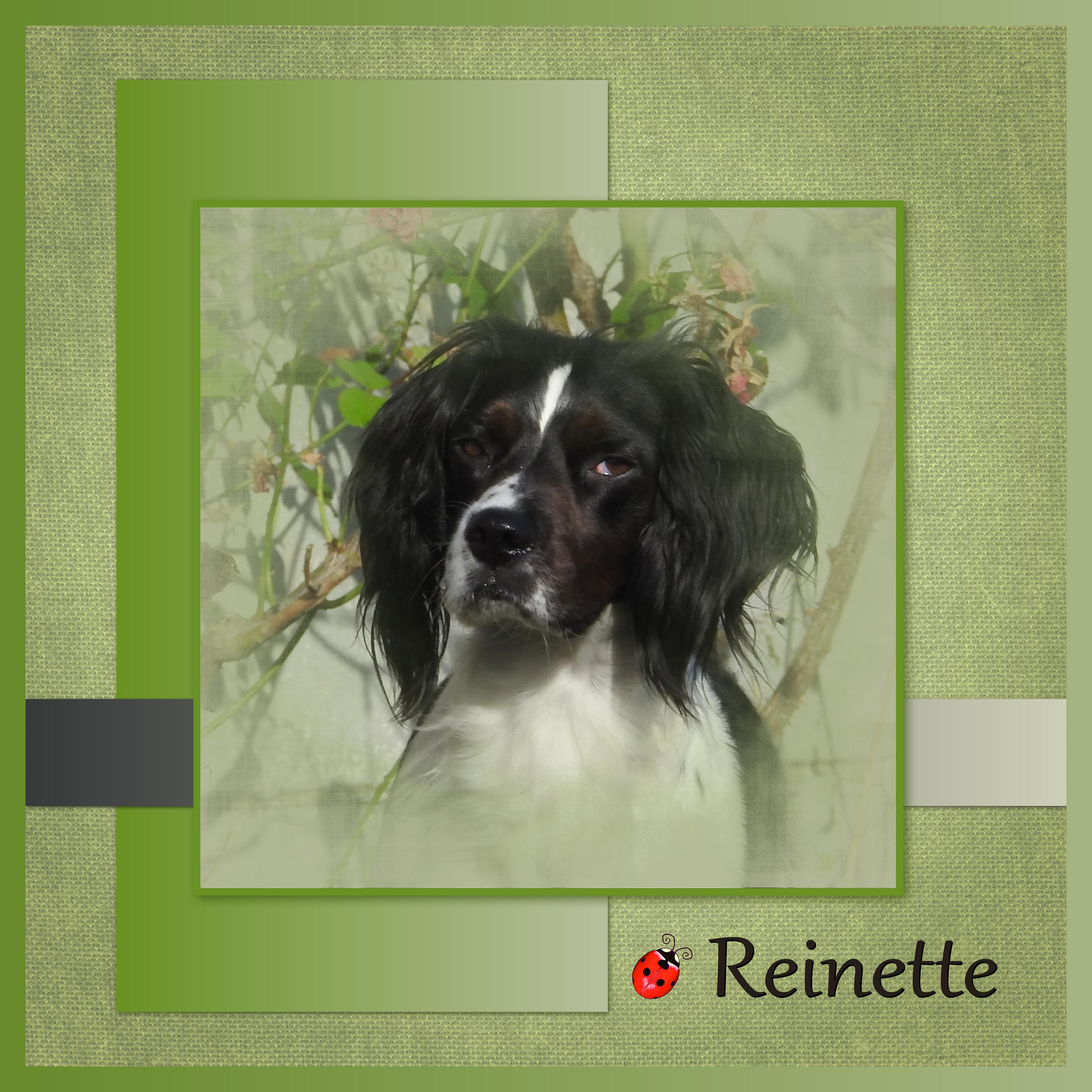 J-A219 - REINETTE.jpg | Forum Le monde du Scrap