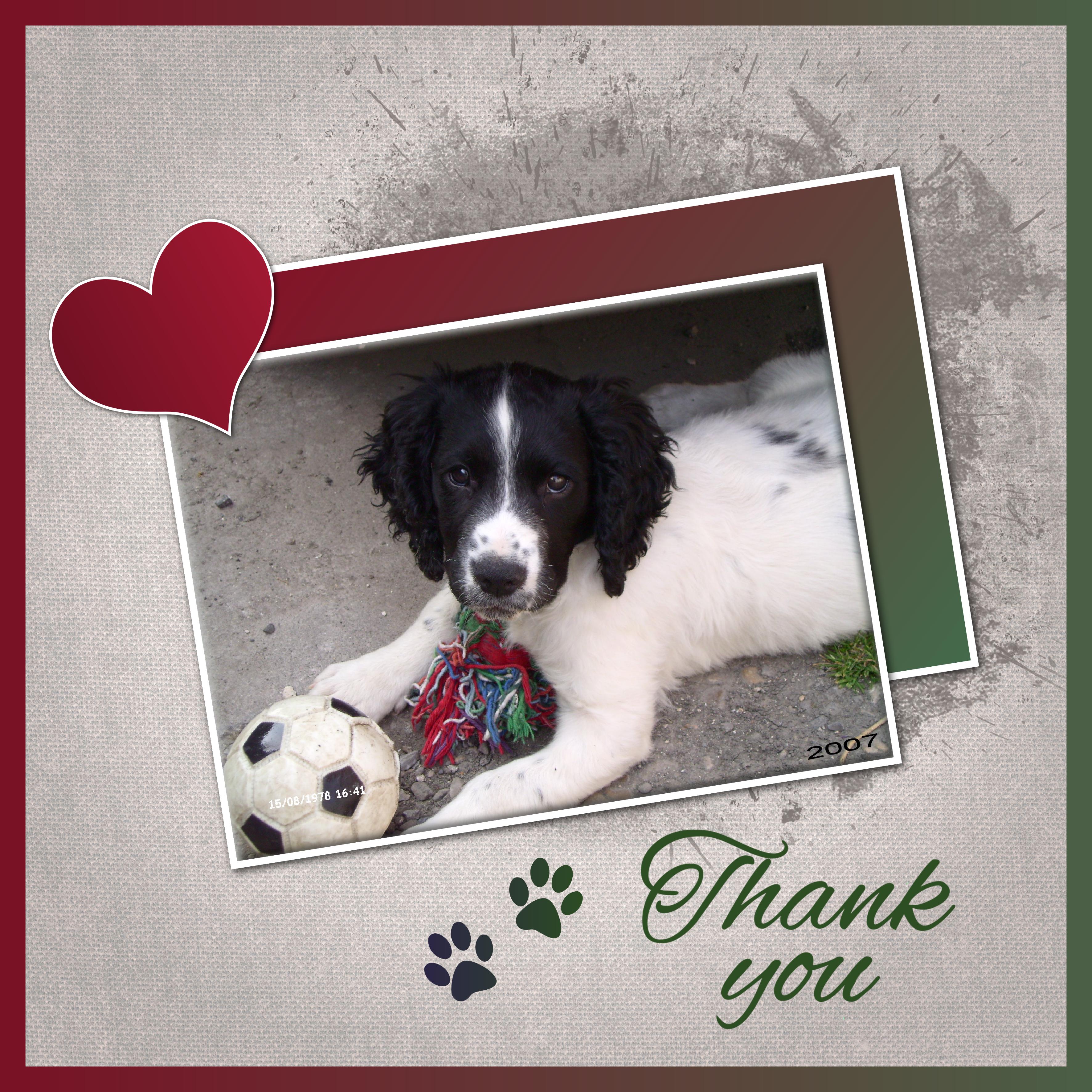 J-A237 - THANK YOU.jpg | Forum Le monde du Scrap