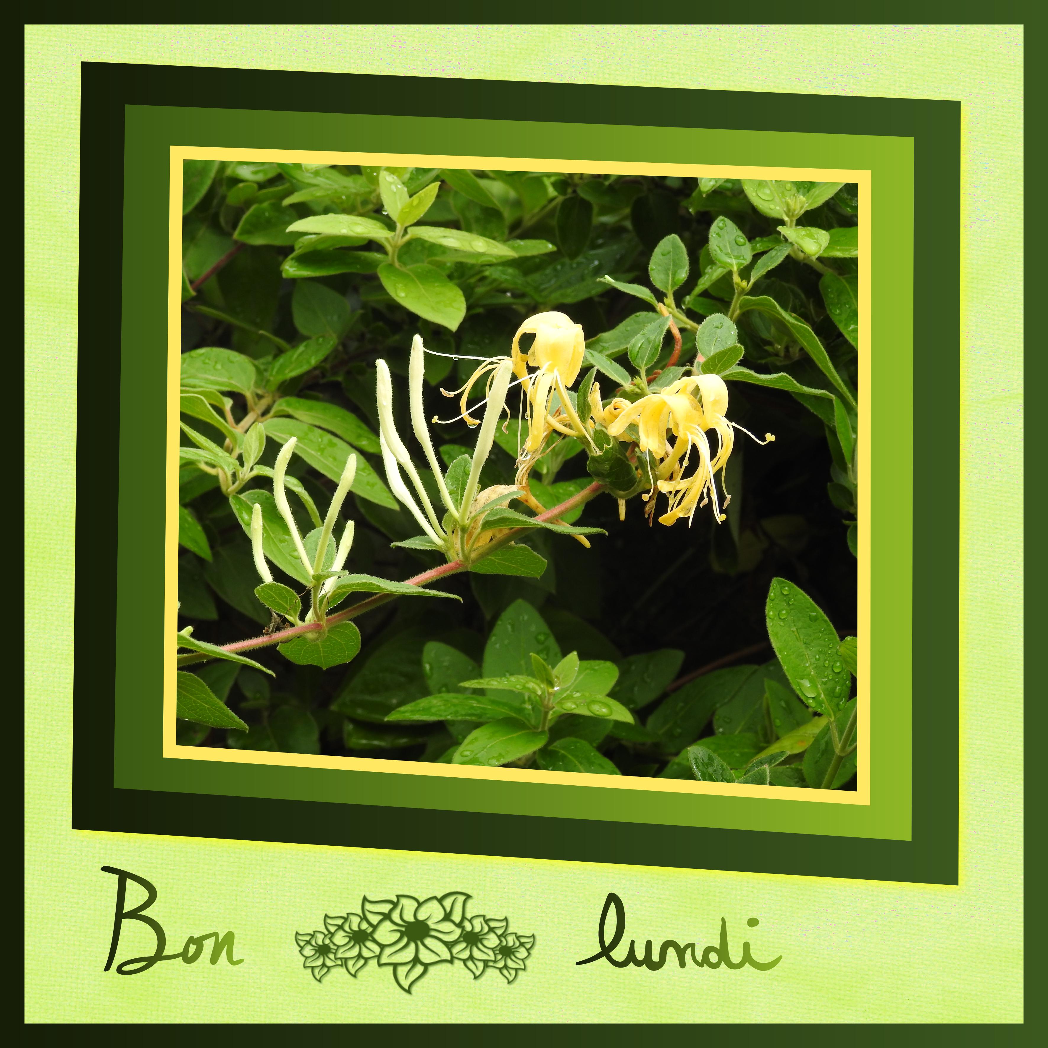 J - BON LUNDI.jpg | Forum Le monde du Scrap