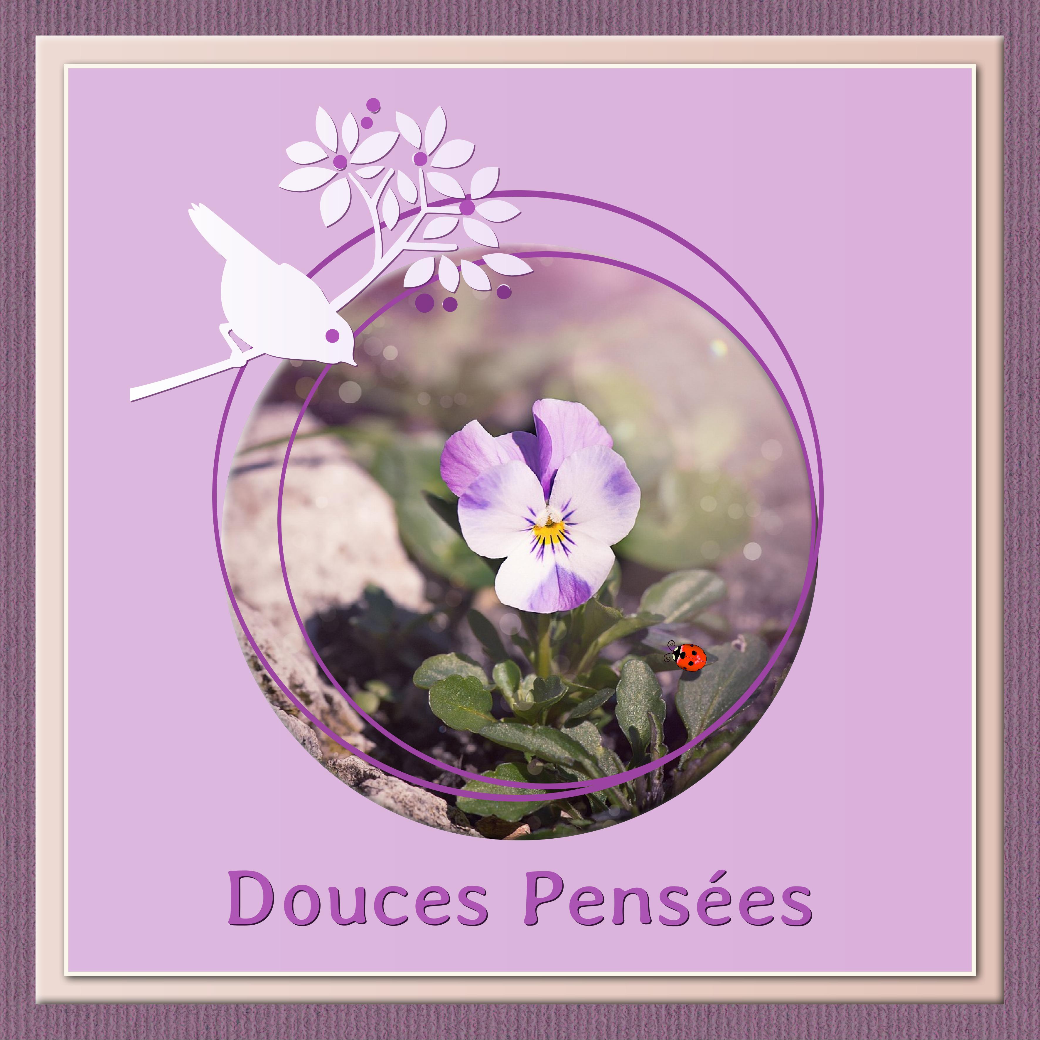 J - DOUCES PENSEES.jpg | Forum Le monde du Scrap