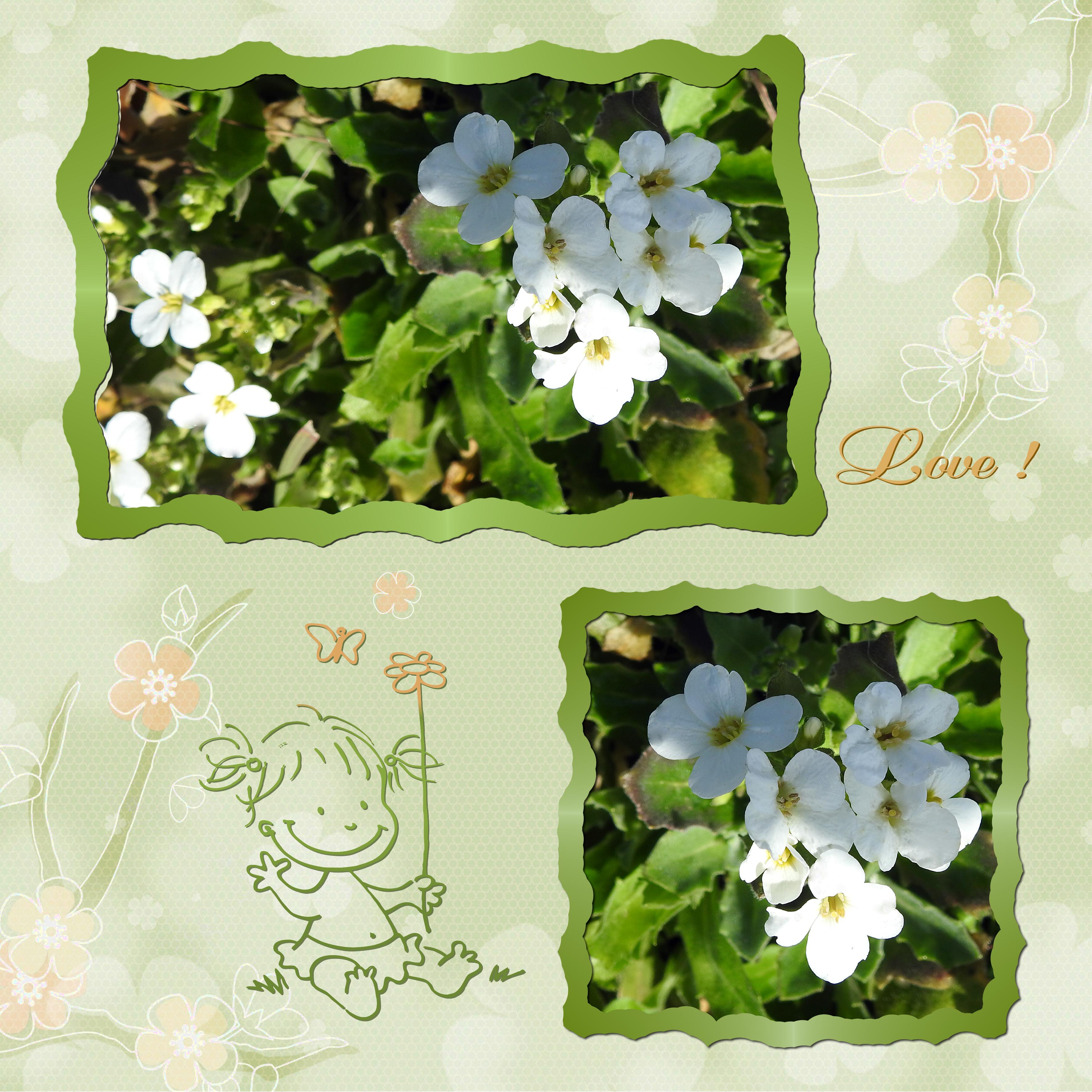 J-n222 - LOVE.jpg | Forum Le monde du Scrap