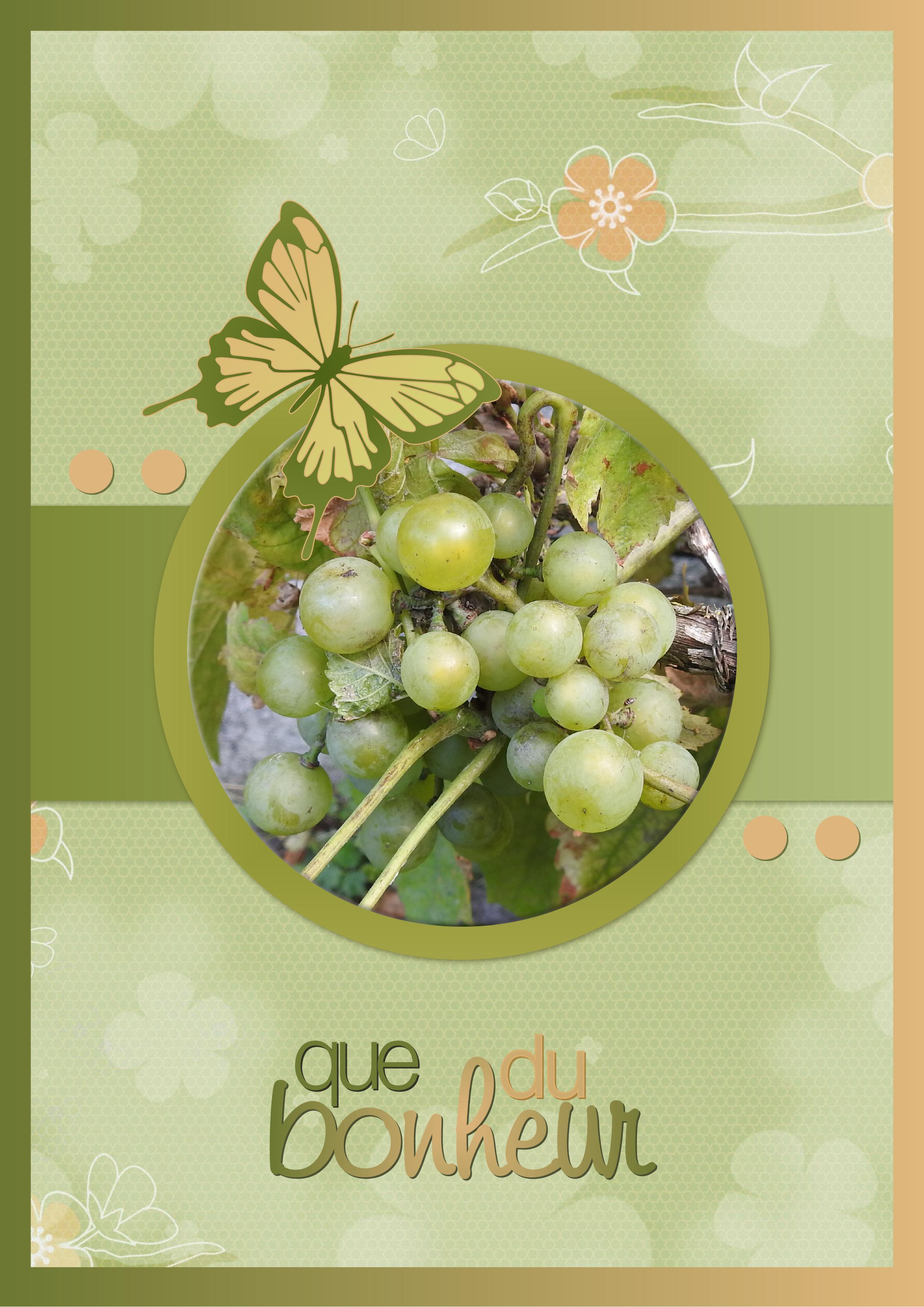 J-n37 - QUE DU BONHEUR.jpg | Forum Le monde du Scrap