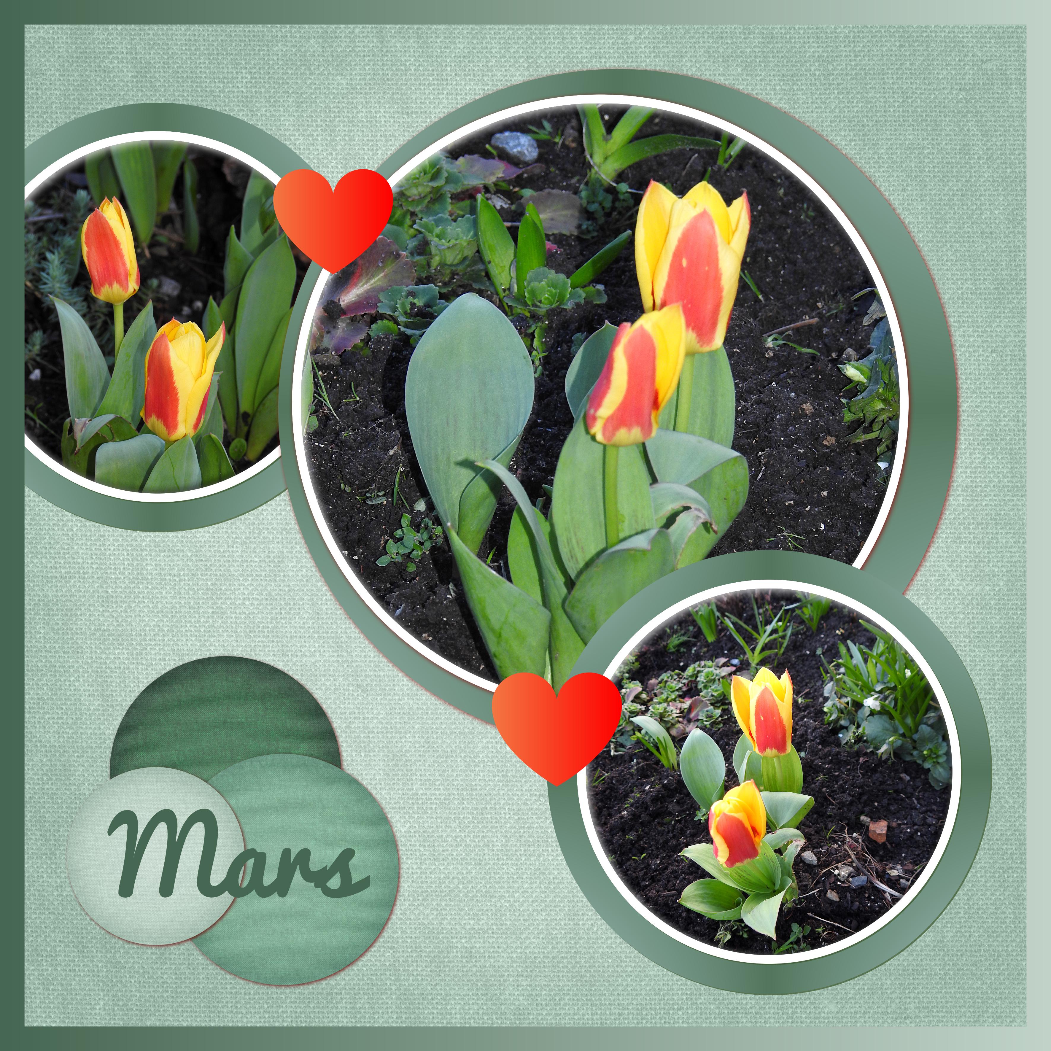 J-n83 - MARS.jpg | Forum Le monde du Scrap