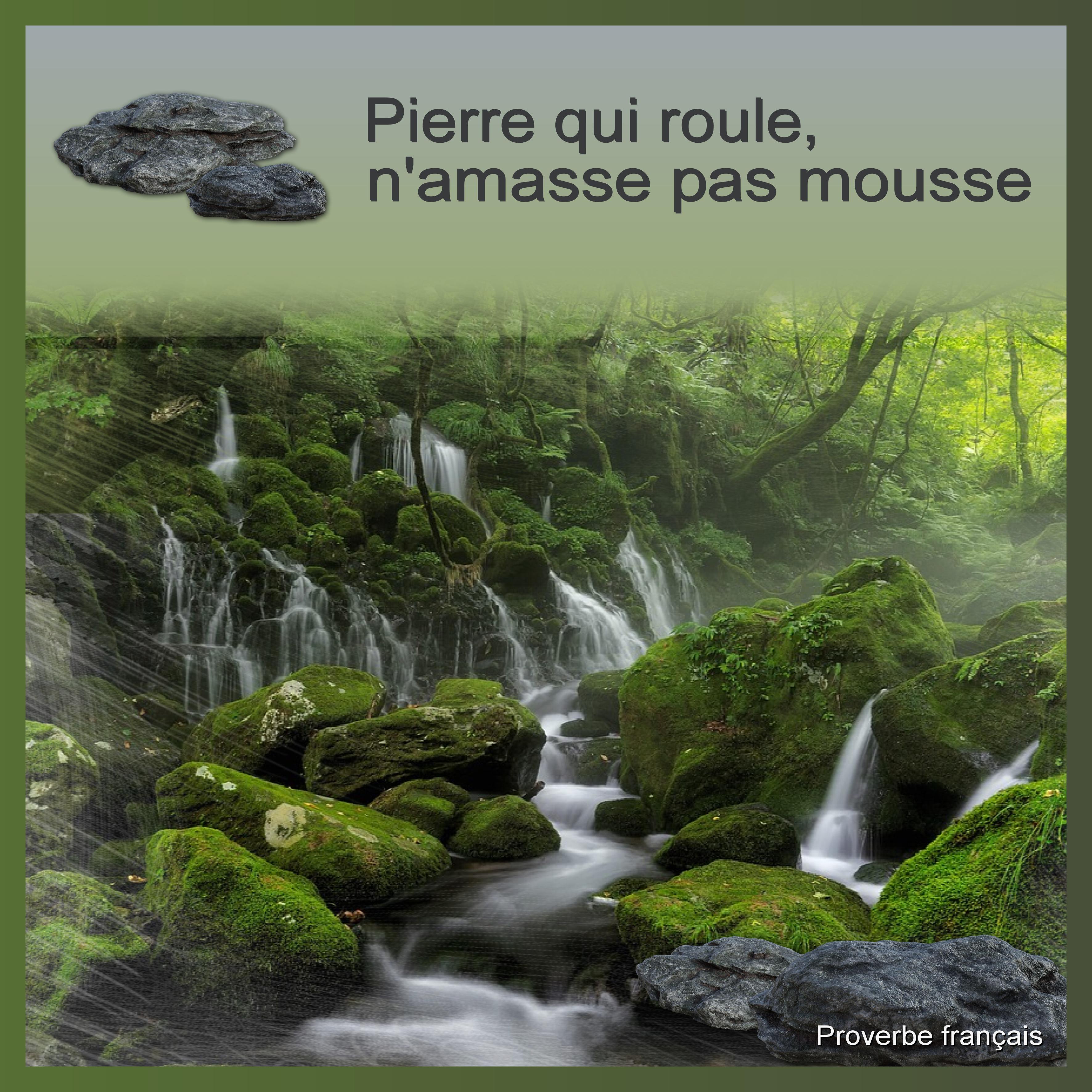 J-s154 - PIERRE QUI ROULE.jpg | Forum Le monde du Scrap