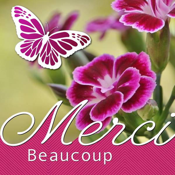 MERCI BEAUCOUP | Forum Le monde du Scrap