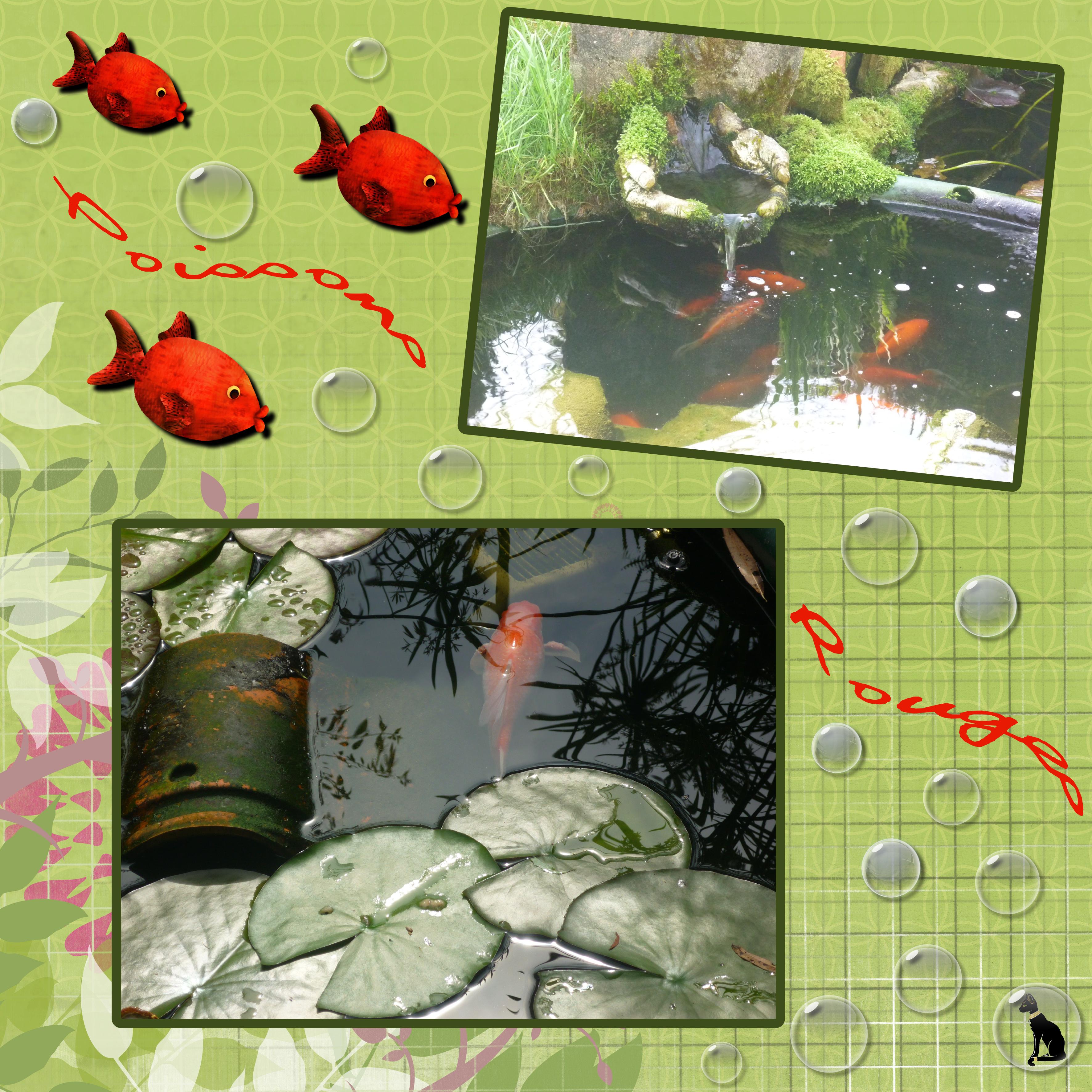 Poissons Rouges.jpg | Forum Le monde du Scrap